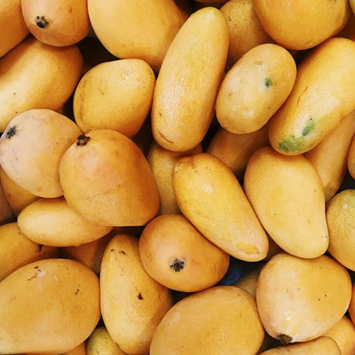 Mangoes (various local varieties) - Dr senny's Green farm